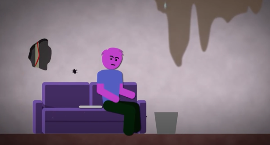 Living Conditions and Repairs